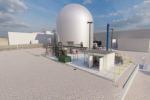 DOME Application - NRIC